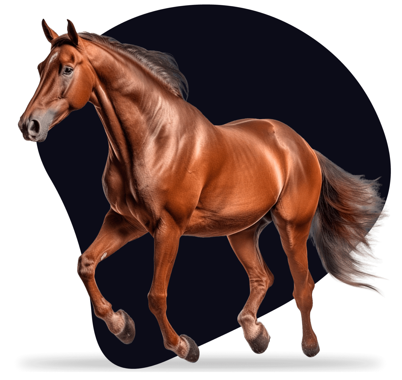 Contact Us - Magic Valley Powder