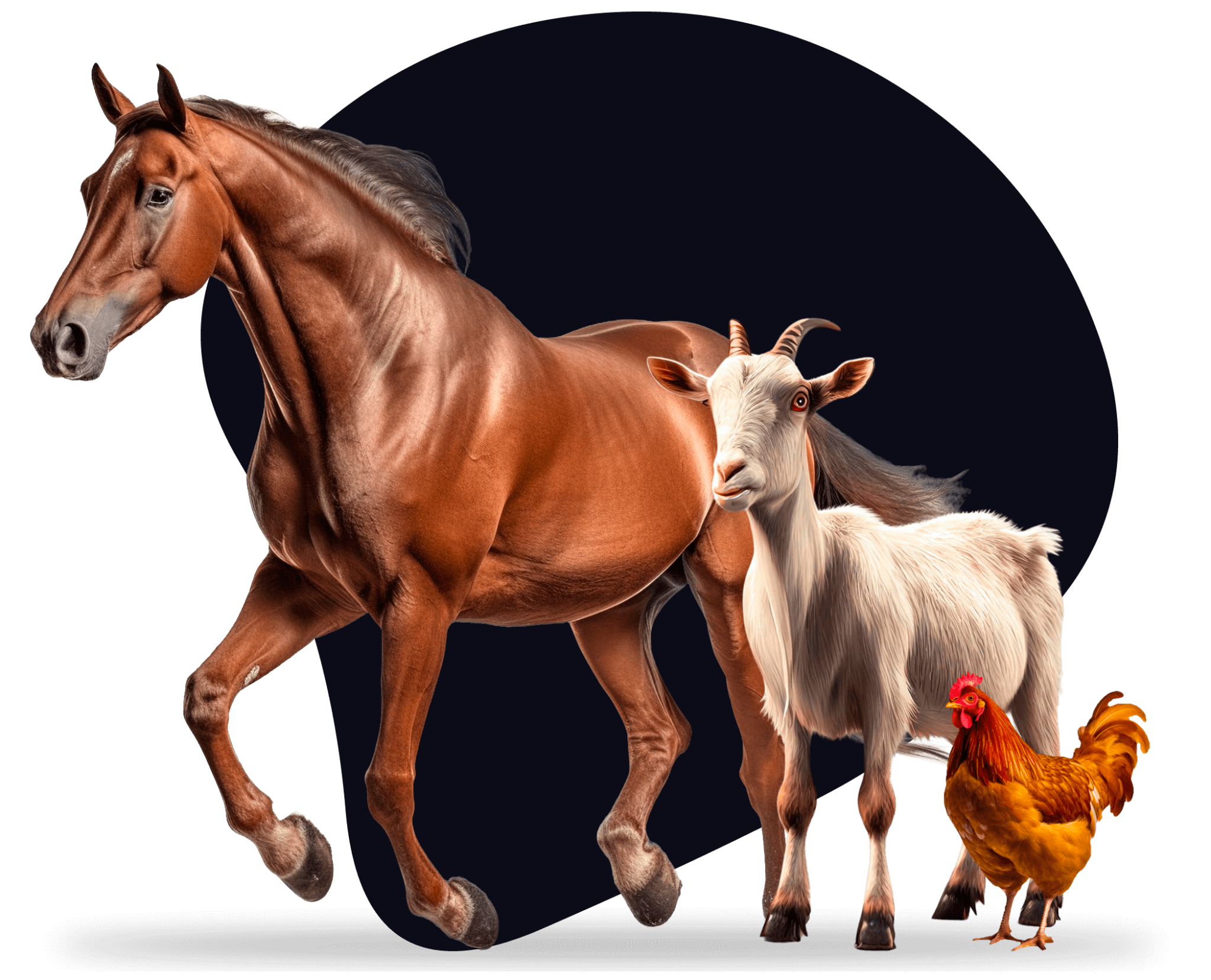 About - Magic Valley Powder